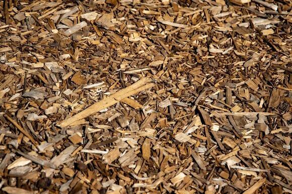 How to Use Ordinary Cardboard to Kill Stubborn Weeds Without Digging ...
