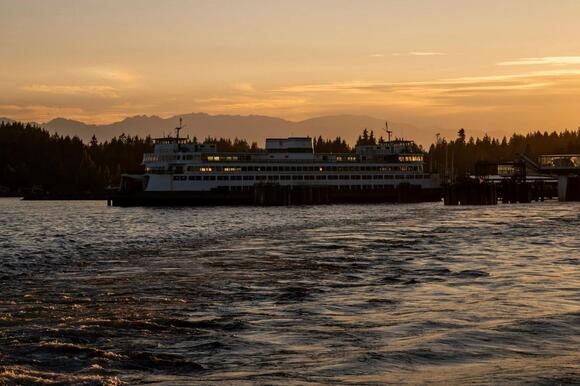Watch OUT! Paralyzing Poison Found – WA Beaches Shut Down for Shellfish ...