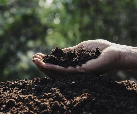 How to compost in NYC – the new mandatory regulations you need to know ...