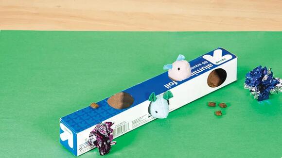 6 Low-Cost DIY Cat Toys to Make That Your Feline Friend Will Love to ...