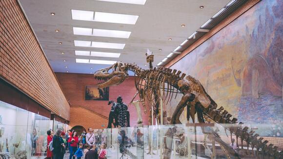 How Kids’ Cartoons Are Inspiring the Next Generation of Dino-Lovers ...