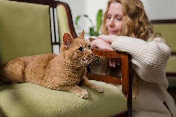 8 Cat Behaviors That Mean They’re Trying to Warn You About Danger ...