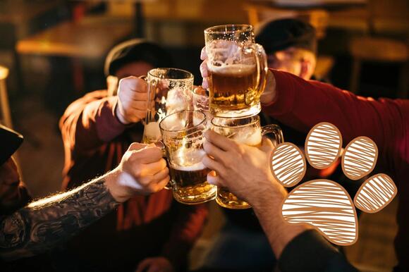 Join Pups N Pints to Support Local Animals in Need - NewsBreak