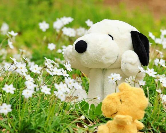 Snoopy’s Birthday: August 10 and 15 Fun Ways to Celebrate the Famous ...