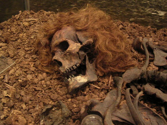 The Bog Bodies of Ireland: How Nature Perfectly Preserved Ancient ...