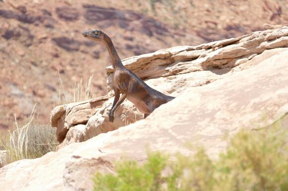 What the Fossilized Footprints Reveal About Dinosaur Behavior - NewsBreak