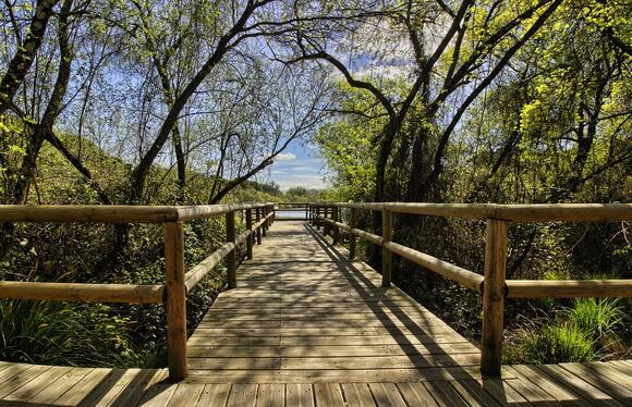 The Impact of Eco-Tourism on Wildlife Conservation - NewsBreak