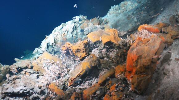 Scientists just tapped into an energy source that could last forever ...