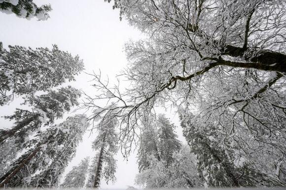 Spectacular images capture Yosemite blanketed in heavy snow as lethal ...