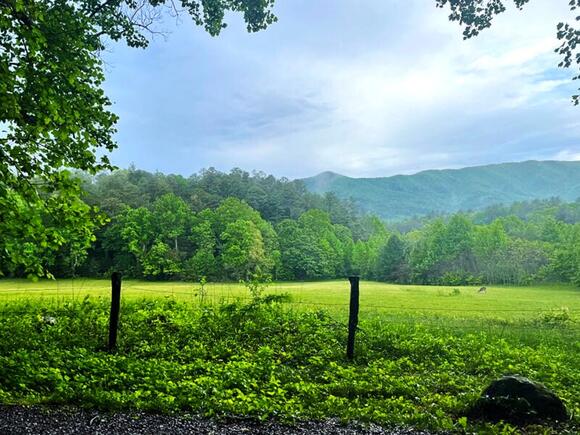 Tragedy in Cades Cove: The Dark History of the Smoky Mountains - NewsBreak