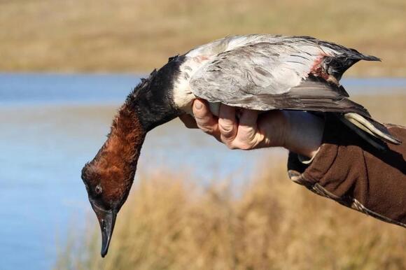 Ice Fishing Plans Shift As Winter Temps Plunge In Minnesota - NewsBreak