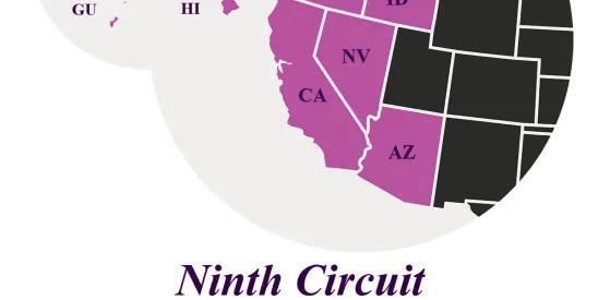 Ninth Circuit Upholds Converse’s Win in CIPA Chat Case: What the ...
