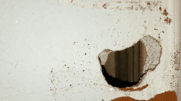 How to Spot and Stop Rodent Activity In Your Home - NewsBreak