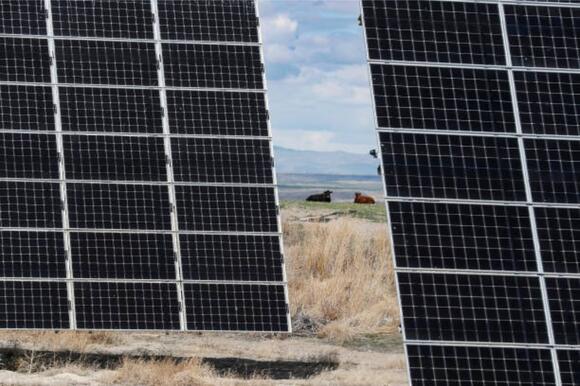 Major Solar Project Nears Approval Despite Tribal Opposition - NewsBreak