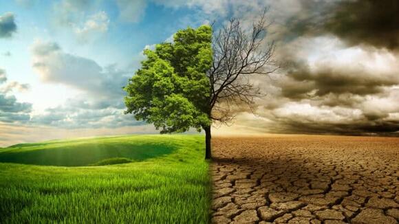 How Climate Change is Fuelling Deadly Heatwaves in North and Central ...