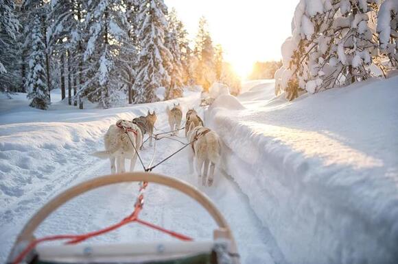 Scandinavian Winter Trips: Where Winter Shines - NewsBreak