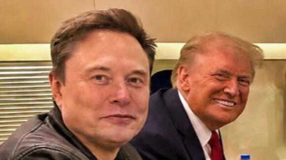 People Can’t Stop Zooming In On What President Trump, Elon Musk, Tim ...
