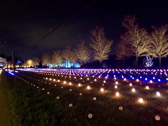 Seinfeld’s Festivus Lives On in NJ - NewsBreak
