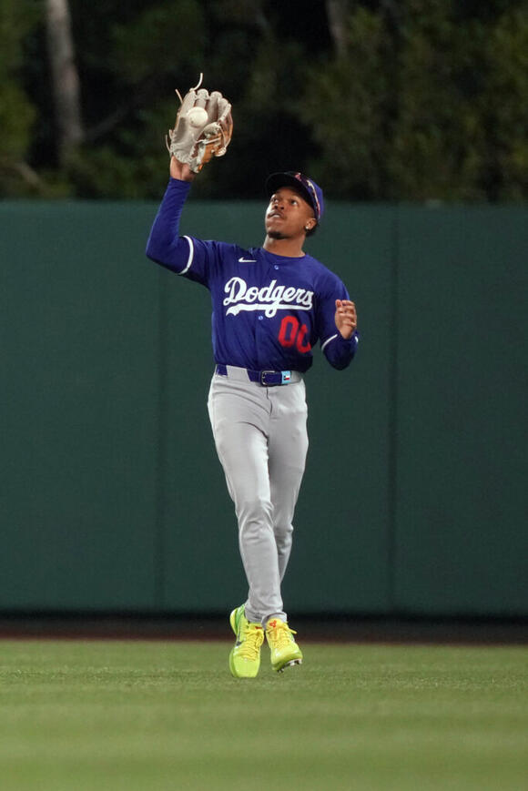 Dodgers star prospect injured by team ´bat dog´ in freak accident ...