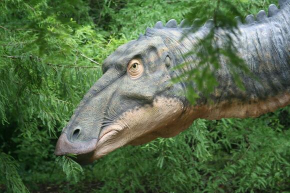 The Oxygen Boom: How Earth’s Atmosphere Fueled Giant Dinosaurs - NewsBreak