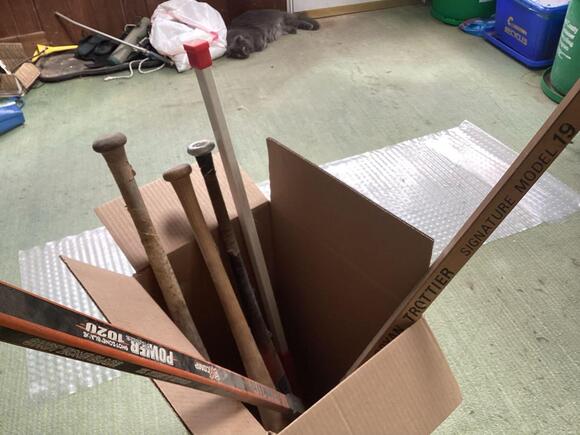 🎁 Freebies Up for Grabs in New City Right Now - NewsBreak