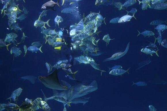 7 Science Moments in Movies That Shockingly Check Out - NewsBreak