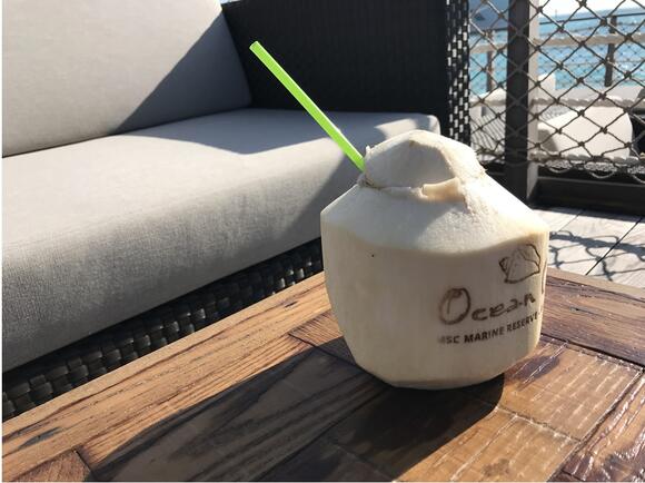 Worth It? Complete Guide to MSC Cruises Drink Packages (Updated ...