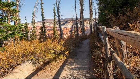 35 Photos of the Best National Parks to See Vivid Fall Colors - NewsBreak