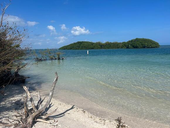 Trump proposes cutting funds for national parks, turning some over to ...