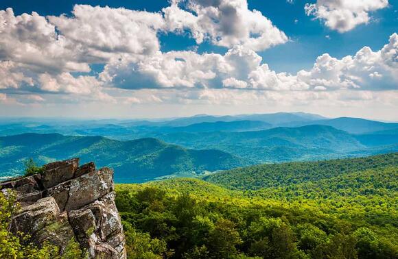The 8 States That Border Tennessee - NewsBreak