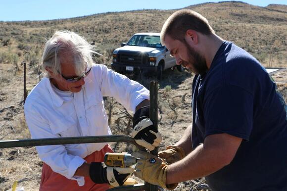 The Red Squirrel’s Last Stand: How Conservationists Are Fighting to ...