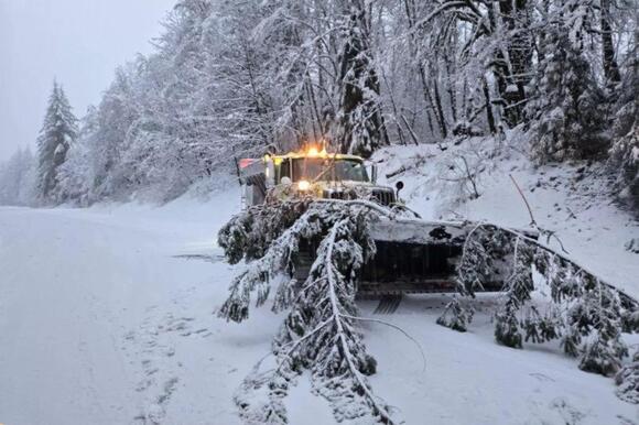 WSDOT Snowplow Driver Narrowly Escapes Falling Tree - NewsBreak
