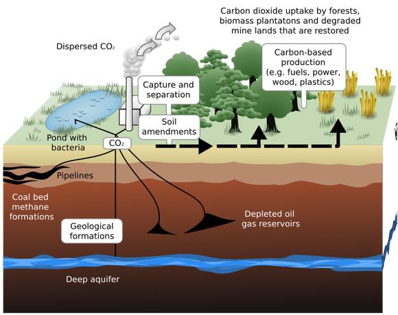 The Role of Forests in Mitigating Climate Change and Protecting ...