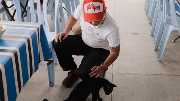 What Happens When a Wild Animal Recognizes You? Experts Reveal the ...