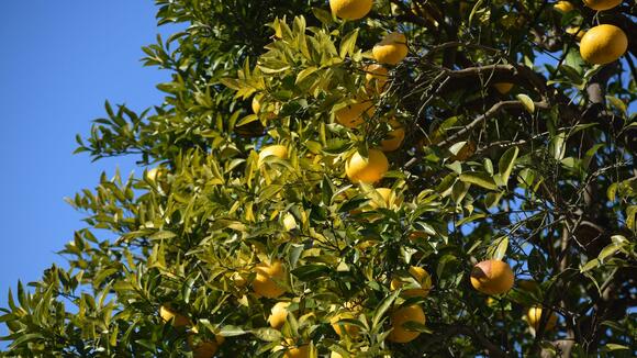20 Bold Flavors That Are Taking Over 2026 - NewsBreak