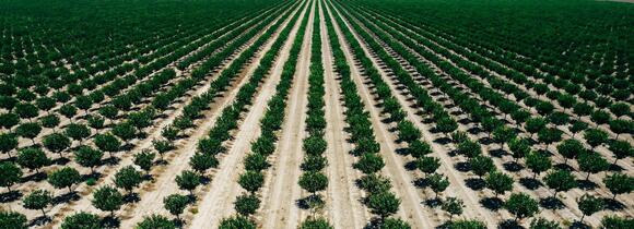 2025 ag land‑value snapshot: Glimmers of resilience - NewsBreak