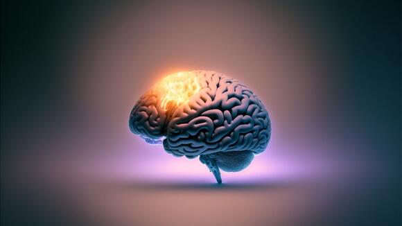 What Your Brain Does in the Final 11 Minutes of Consciousness ...