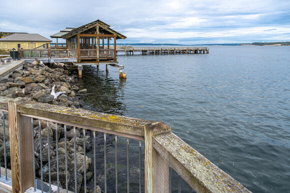 Scenic Ferry Rides in Washington State - NewsBreak