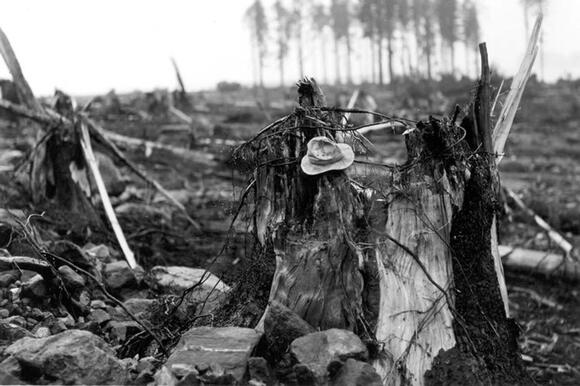 The biggest tsunami ever recorded was so huge, you can still see its ...