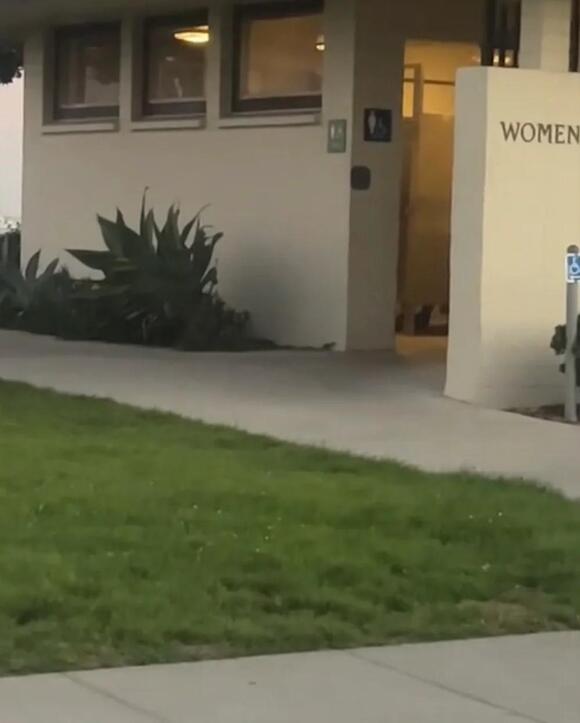 Police seek information about man in viral video allegedly hiding in ...