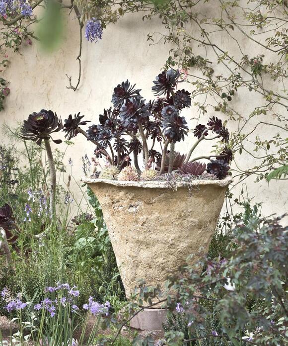 These Are the Only Succulent Trends Worth Trying This Year – They'll ...