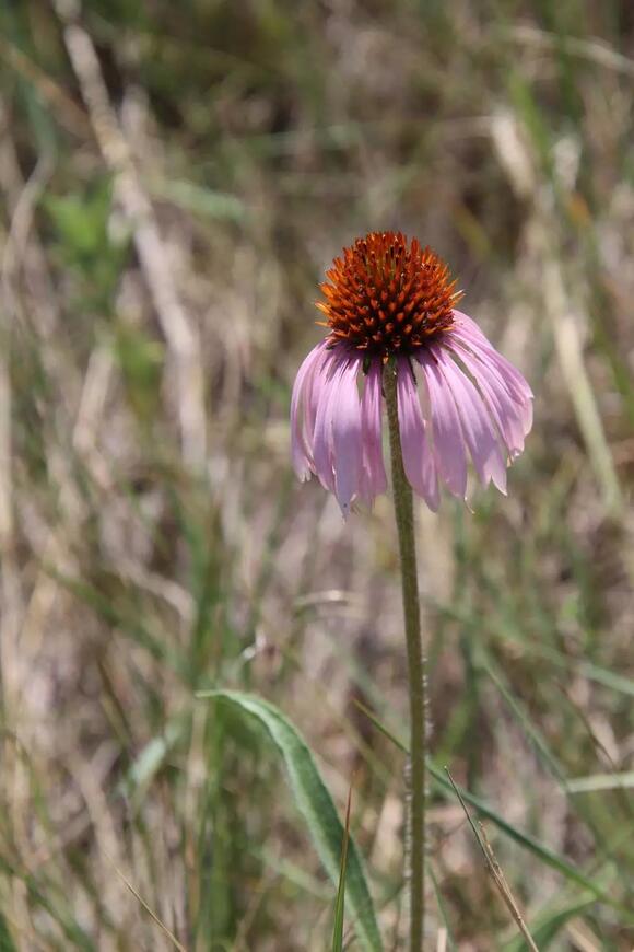 Williston's 2025 Birth Figures Highlight Community Resilience - NewsBreak