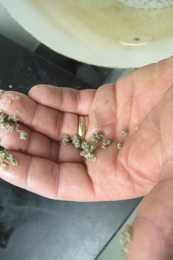 The Earth Strikes Back – What Nature Is Telling Us About Our Behavior ...