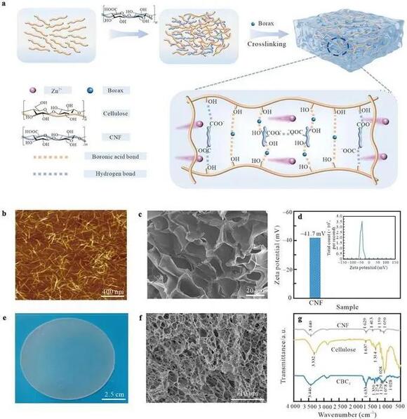 Water-based zinc battery achieves 1,000 cycles with bamboo-derived ...