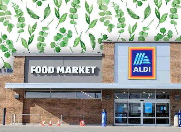 11 Best New Aldi Outdoor Living Finds Flying Off Shelves in May - NewsBreak