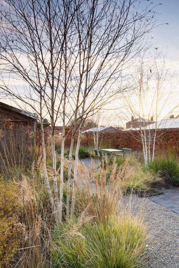 The New Rules of Outdoor Design — 9 Landscape Designers Define the Non ...