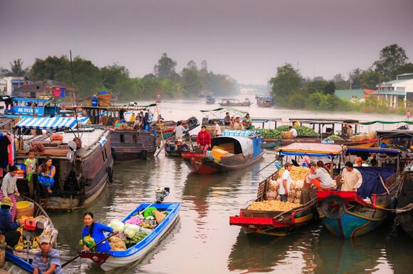 How Ecotourism Can Contribute to Wildlife Conservation Efforts - NewsBreak
