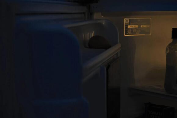 Family calls $600 backup battery overkill after one 6-day outage wiped ...