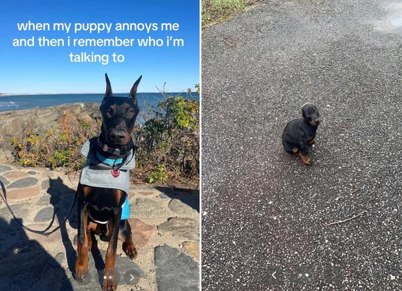 The heartbreaking origins behind the ‘My Shayla’ trending TikTok sound ...
