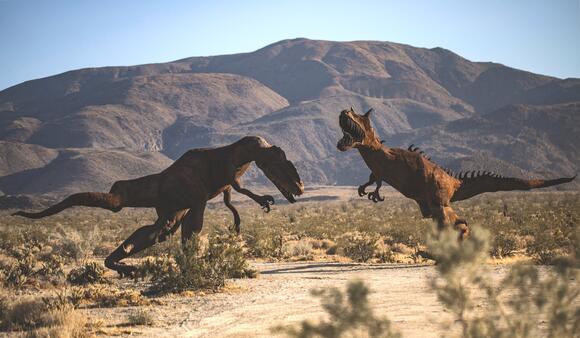 How Tall Was a T-Rex Compared to a School Bus - NewsBreak